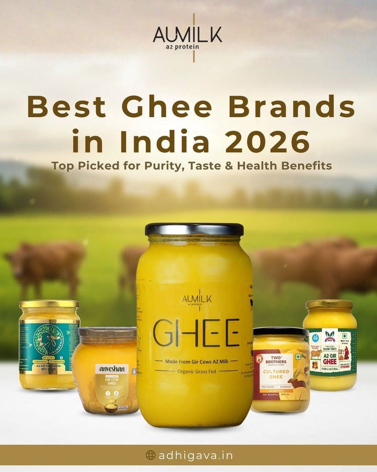 Best Ghee Brands in India 2026 – www.adhigava.in