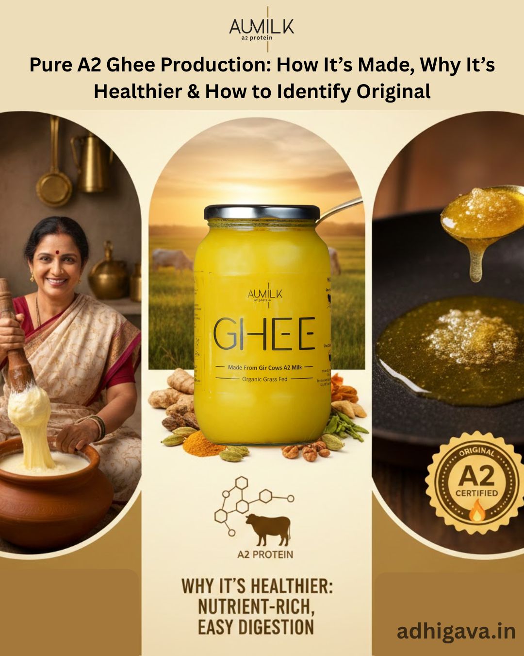 Pure A2 Ghee Production: How It’s Made – www.adhigava.in